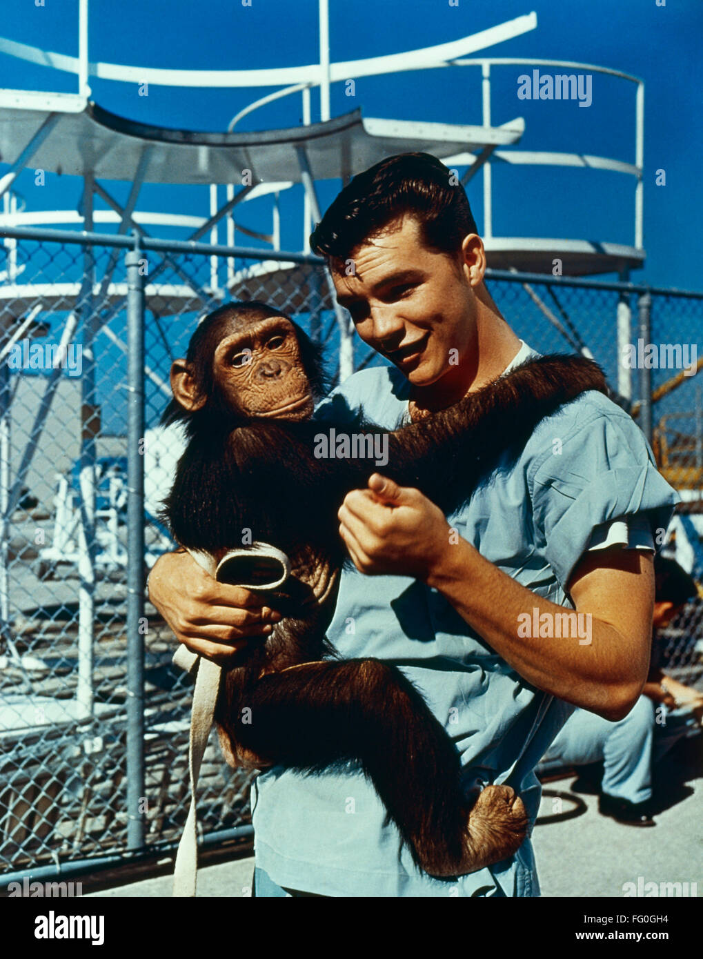 SPACE: CHIMPANZEE, 1961. /nOne of the chimpanzees trained for the ...