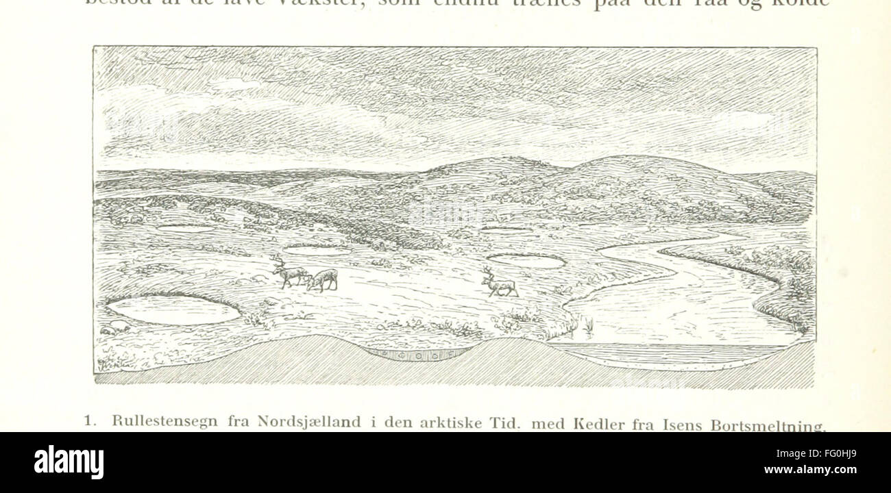 This vintage book, 'Danmarks Riges Historie', offers a comprehensive ...