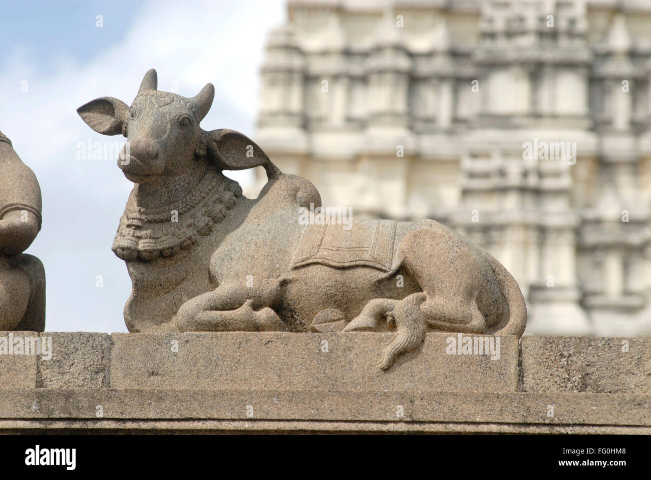 Richly stone carved statue of Nandi bull at Ramanathswami temple ...