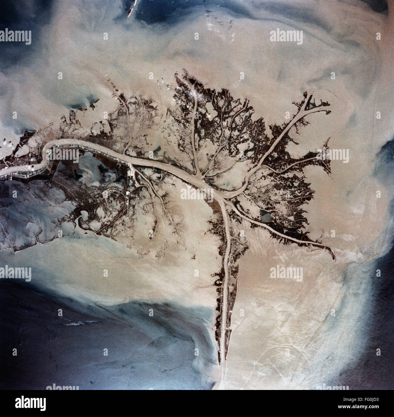 EARTH FROM SPACE, 1994. /nA view of the Mississippi River Delta in ...