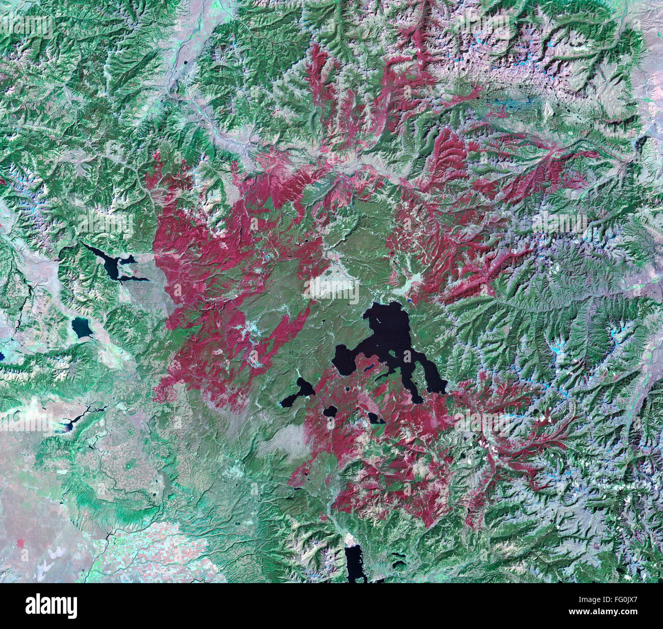 EARTH FROM SATELLITE, c1988. /nA false-color satellite image of ...