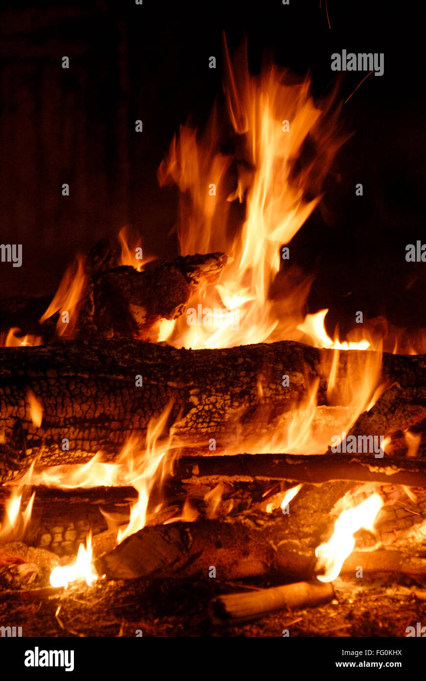 Huge bonfire burning wood fire ignited to celebrate Holi festival ...