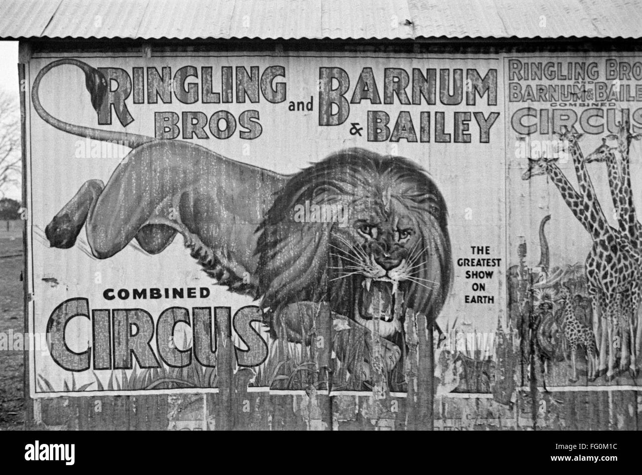 CIRCUS ADVERTISEMENT, 1936./nPoster for the Ringling Bros. and Barnum ...