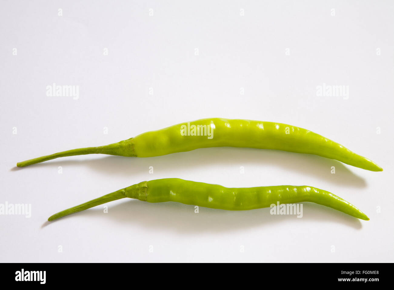 Concept , Indian spice green chillies hari mirch on white background ...