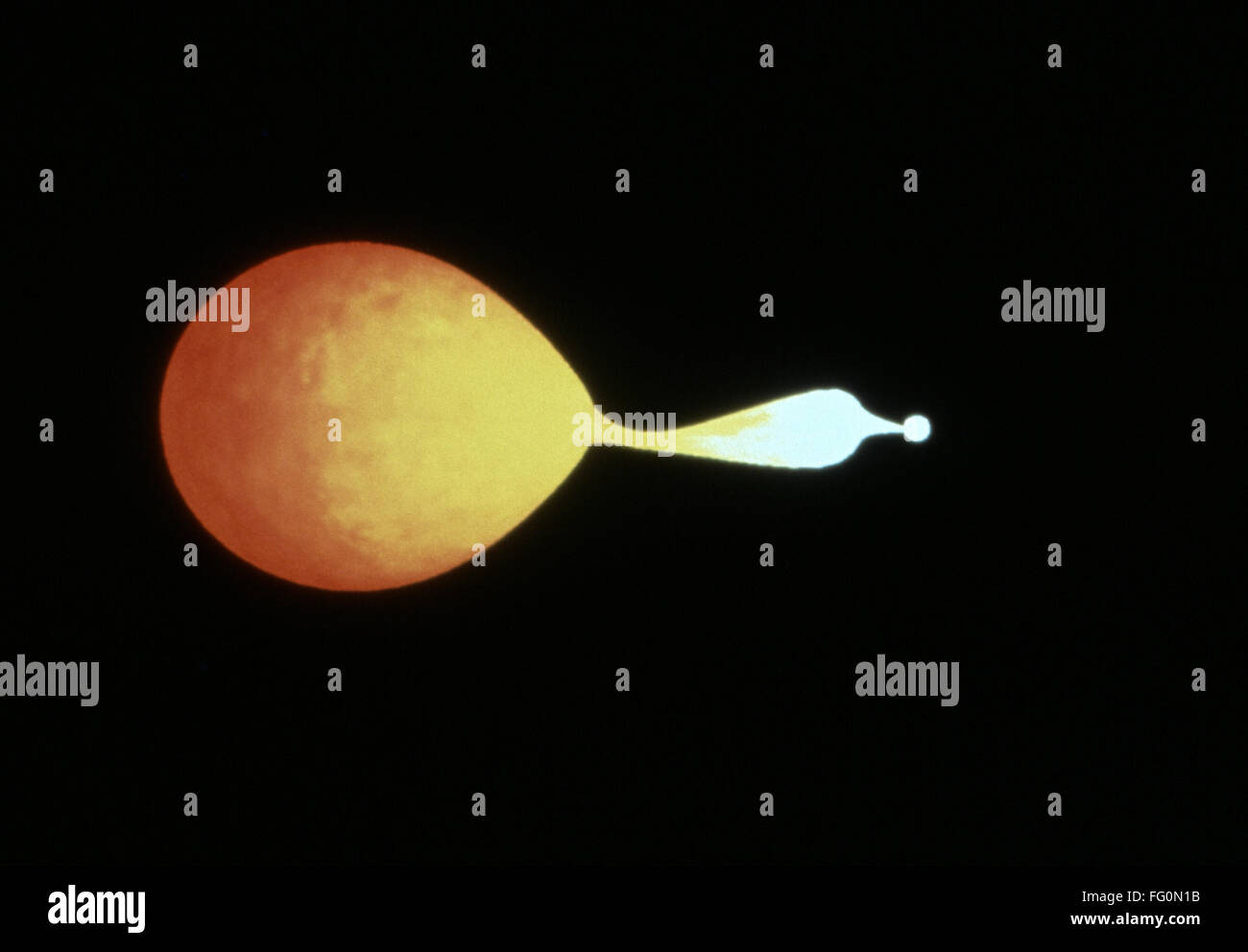 SPACE: NOVA CYGNI 1975. /nIllustration of the Nova Cygni 1975 (V1500 ...