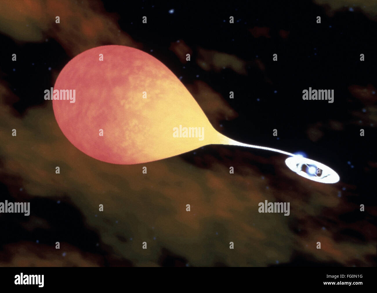 SPACE: NOVA CYGNI 1975. /nIllustration of the Nova Cygni 1975 (V1500 ...