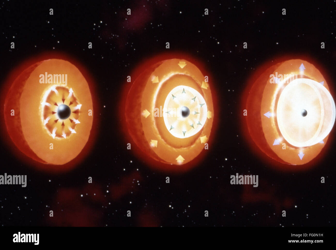SPACE: SUPERNOVA. /nThe stages of a supernova stellar explosion ...