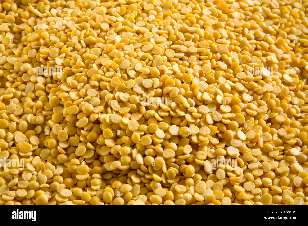 Pulses , split yellow lentils toor arhar dal lens culinaris Stock Photo ...