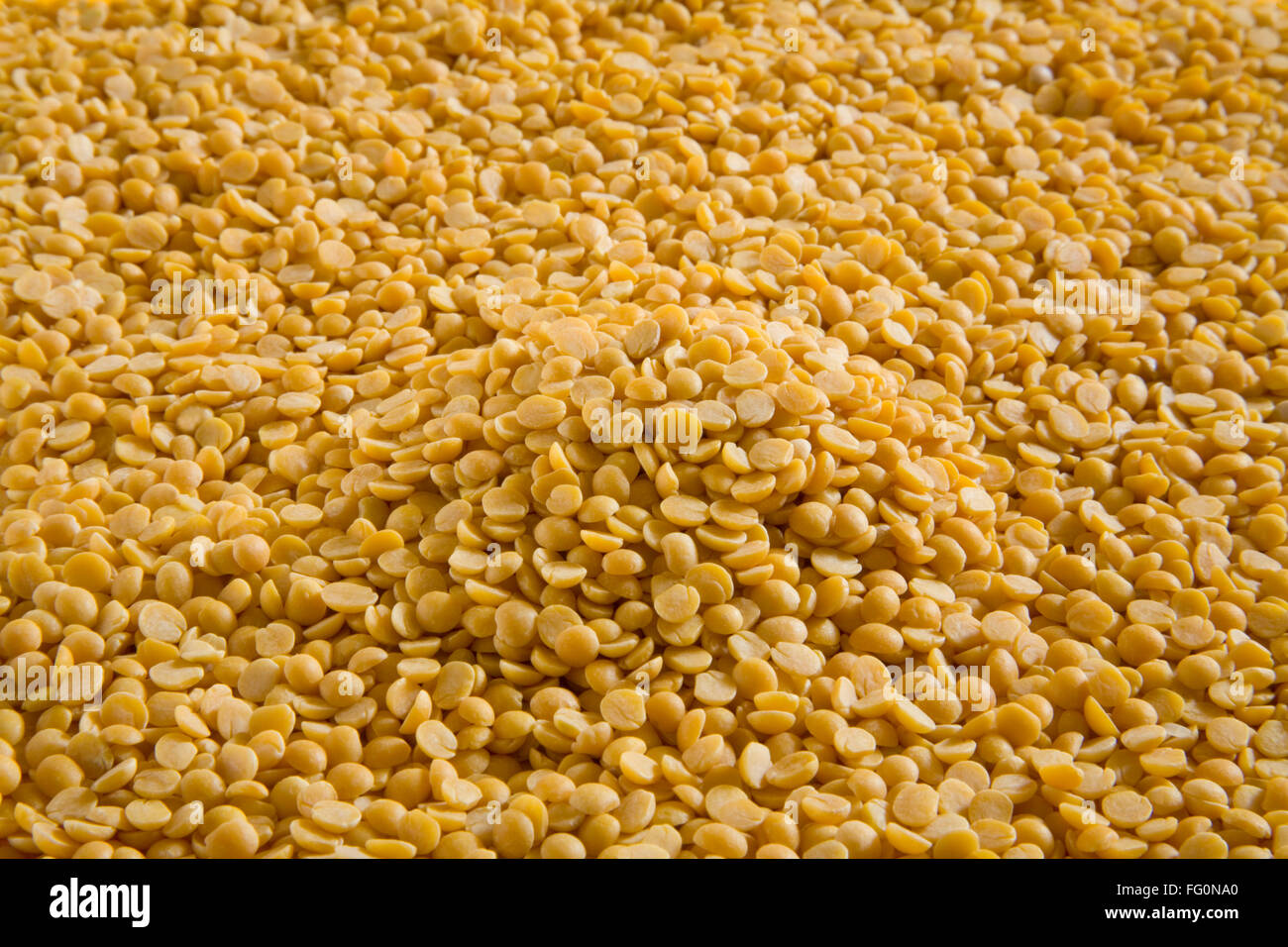 Pulses , split yellow lentils toor arhar dal lens culinaris Stock Photo ...