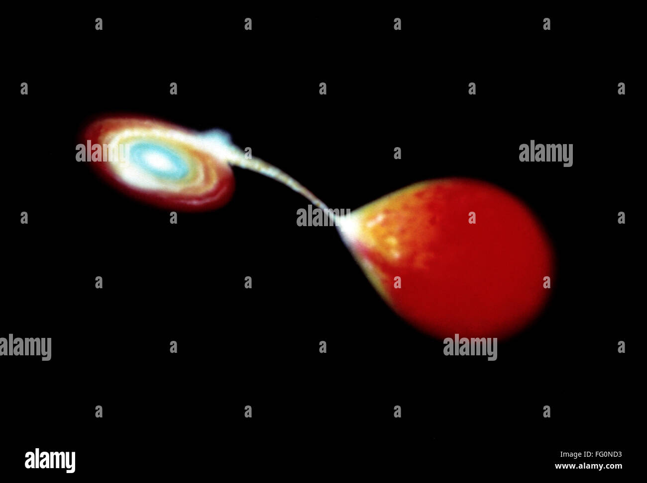 SPACE: BINARY STAR. /nA binary star sharing a common gaseous envelope ...