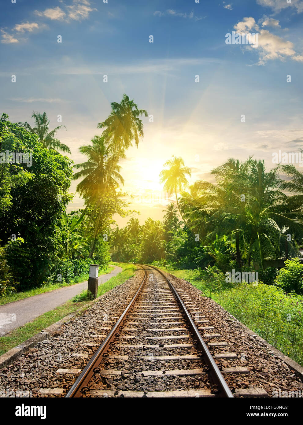 Sundown over railroad in jungle of Sri Lanka Stock Photo - Alamy