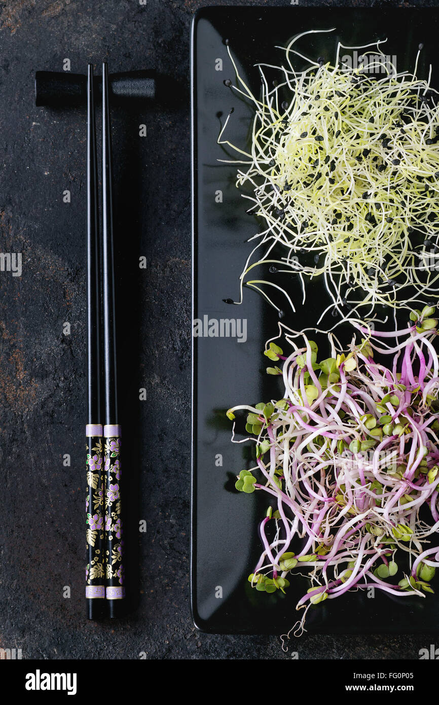 Plate of Fresh Sprouts Stock Photo - Alamy