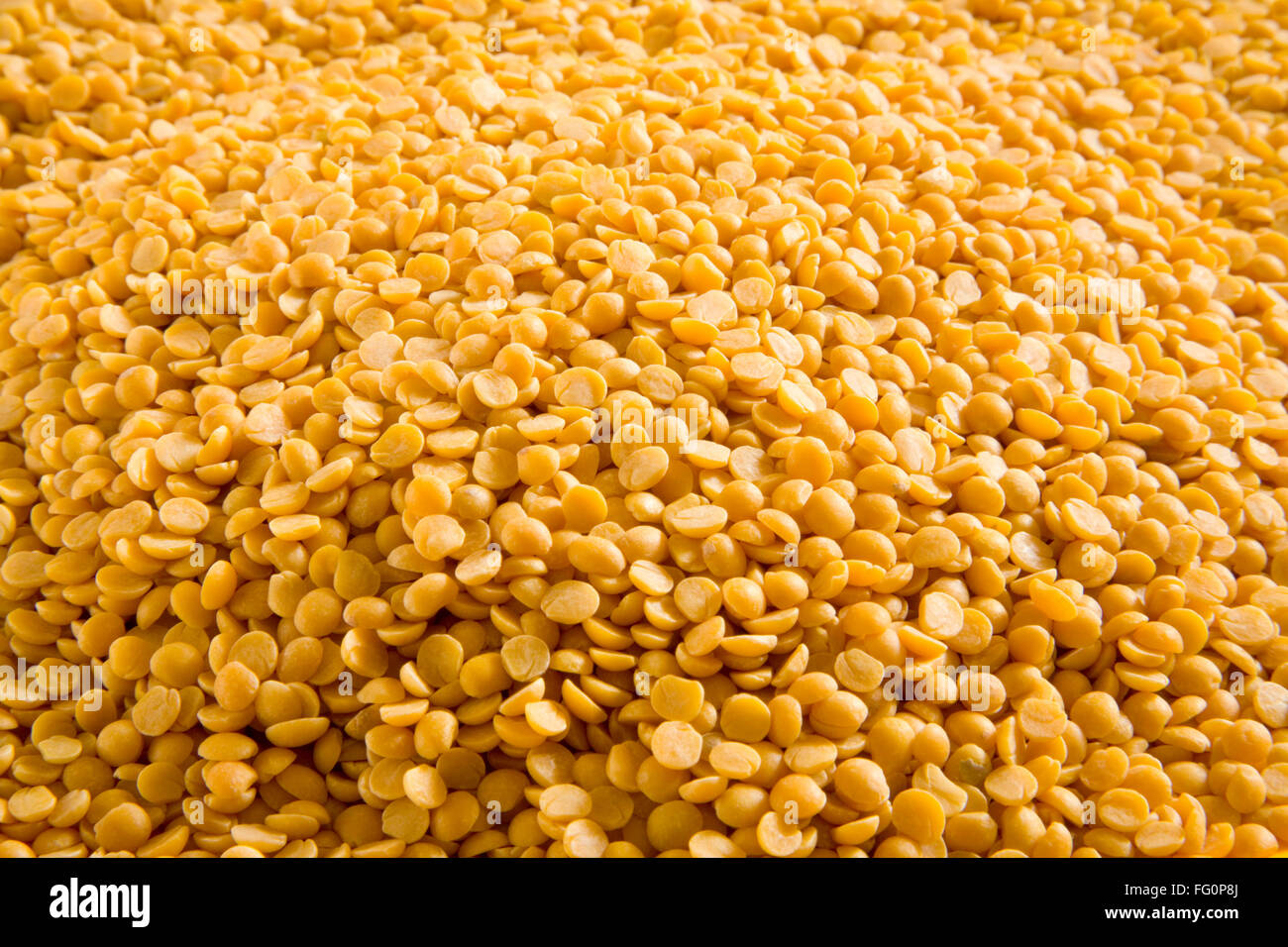 Grain , pile of split yellow lentils toor arhar dal lens culinaris ...