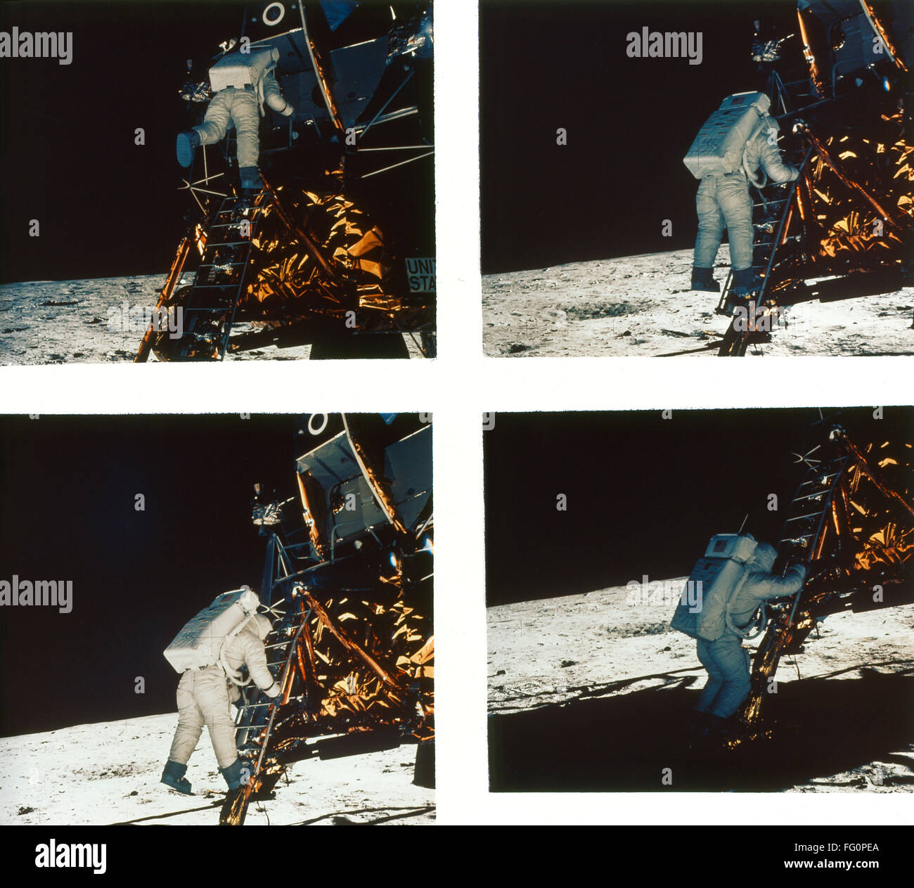 APOLLO 11: BUZZ ALDRIN. /nPhotographic sequence showing astronaut Edwin 'Buzz' Aldrin descending ...
