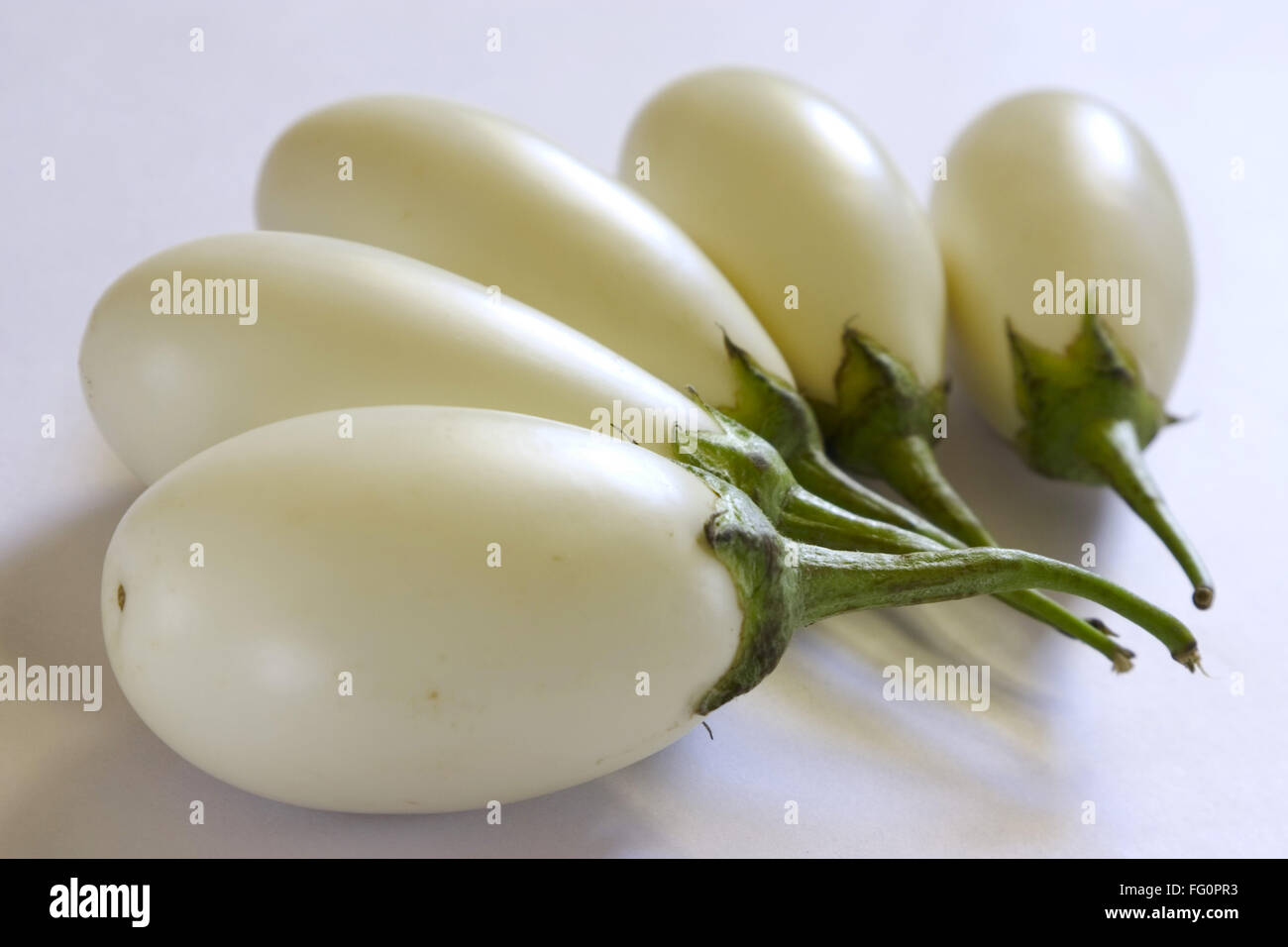 Vegetable , white , Brinjal , Baingan , Aubergines , eggplant , India ...