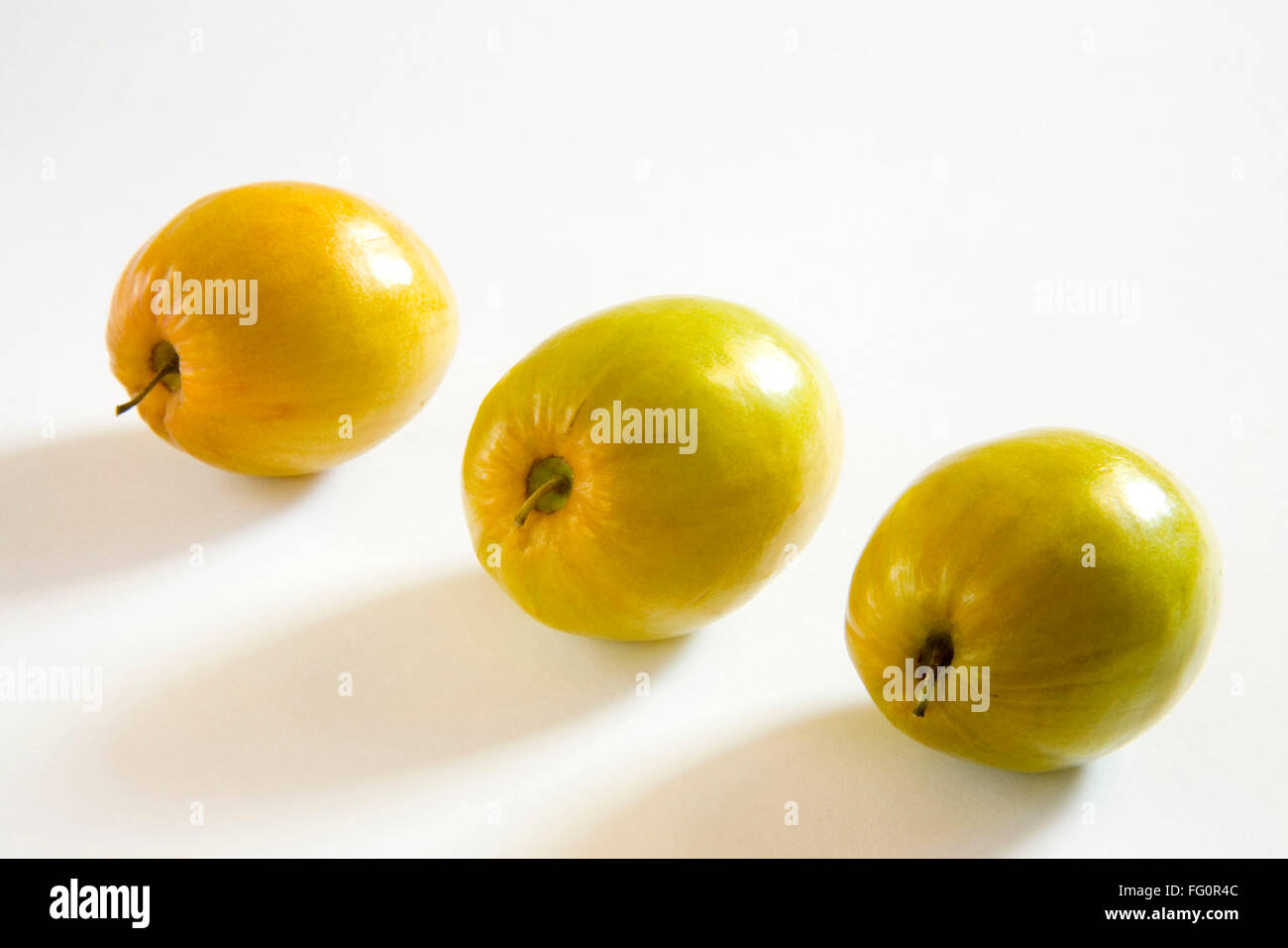 Bor hi-res stock photography and images - Alamy