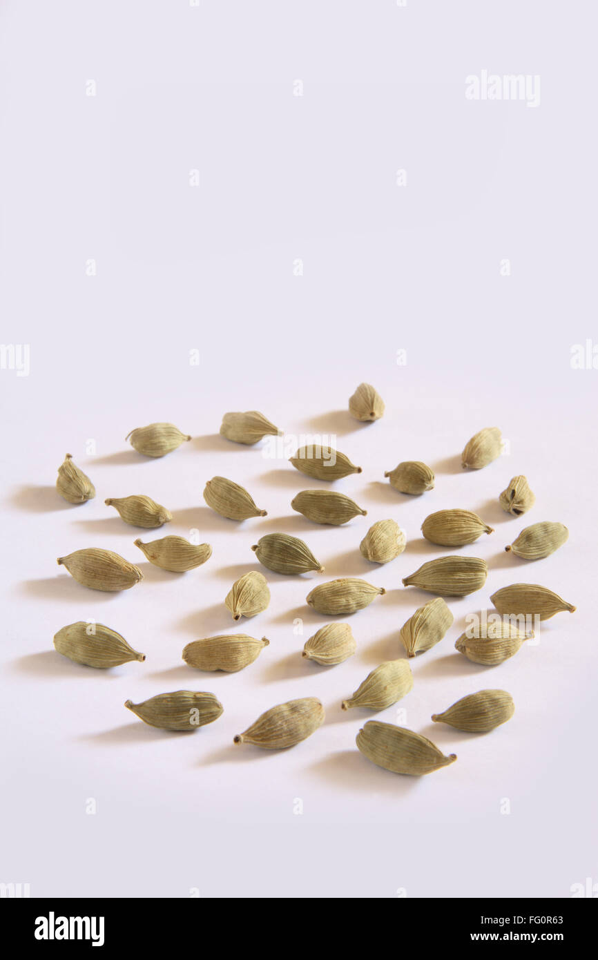 Indian spice , bleached green Cardamom pods Elaichi Elettaria cardamom ...