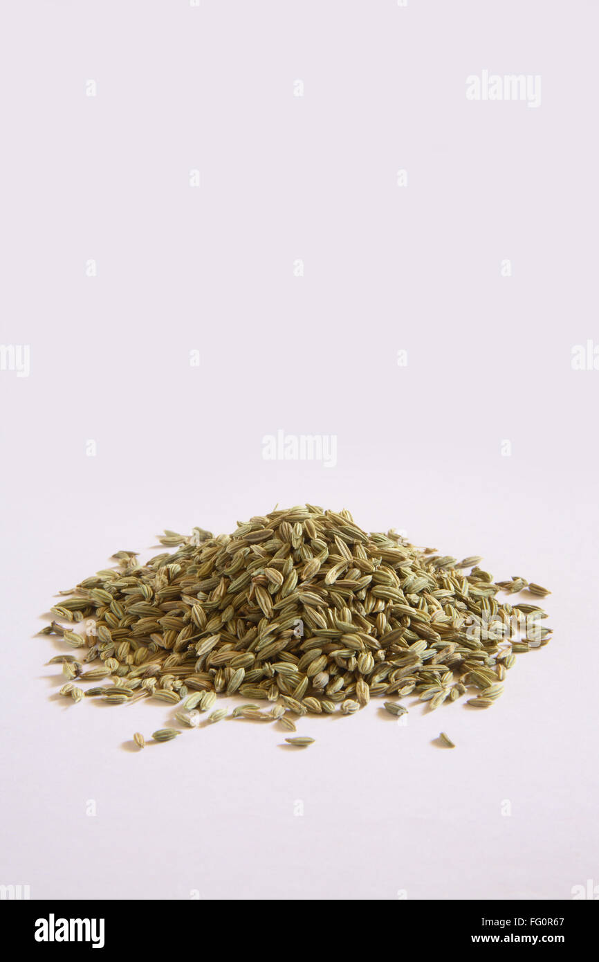 Spice , Fennel seeds Saunf Foeniculum vulgare on white background Stock ...