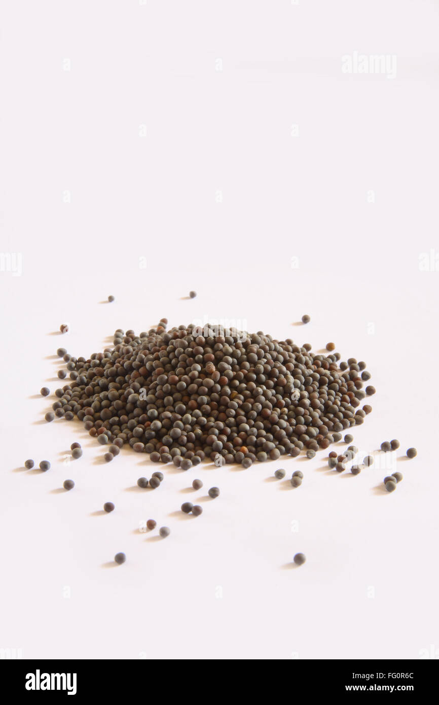 Indian spice , Black Mustard seeds Rai Brassica nigra Brassica juncea ...