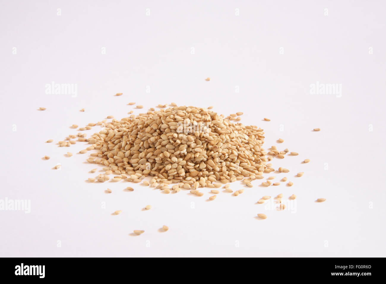 Indian spice Cream Sesame Seeds Til Sesamum indicum on white background ...
