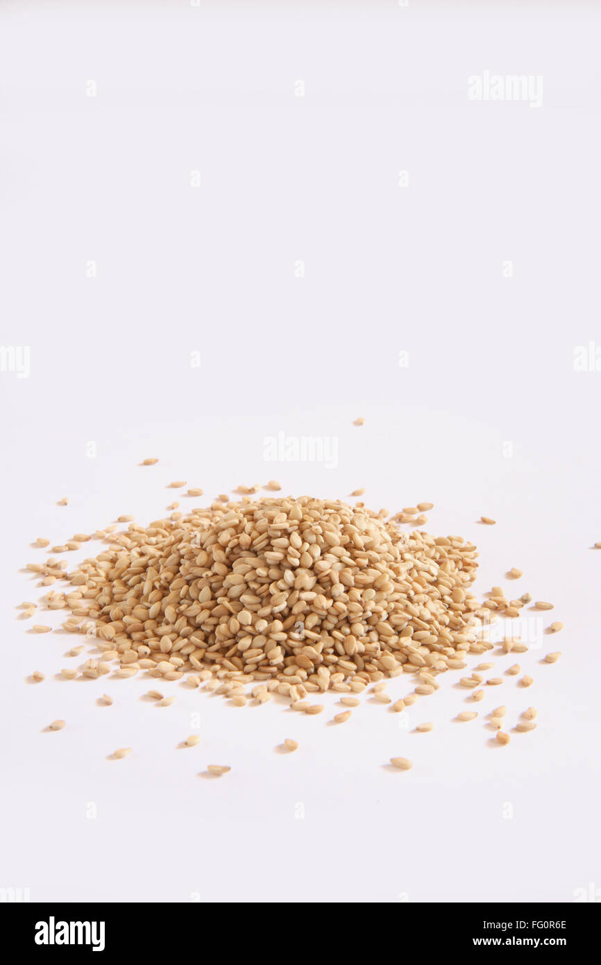 Indian spice , Cream Sesame Seeds Til Sesamum indicum on white ...