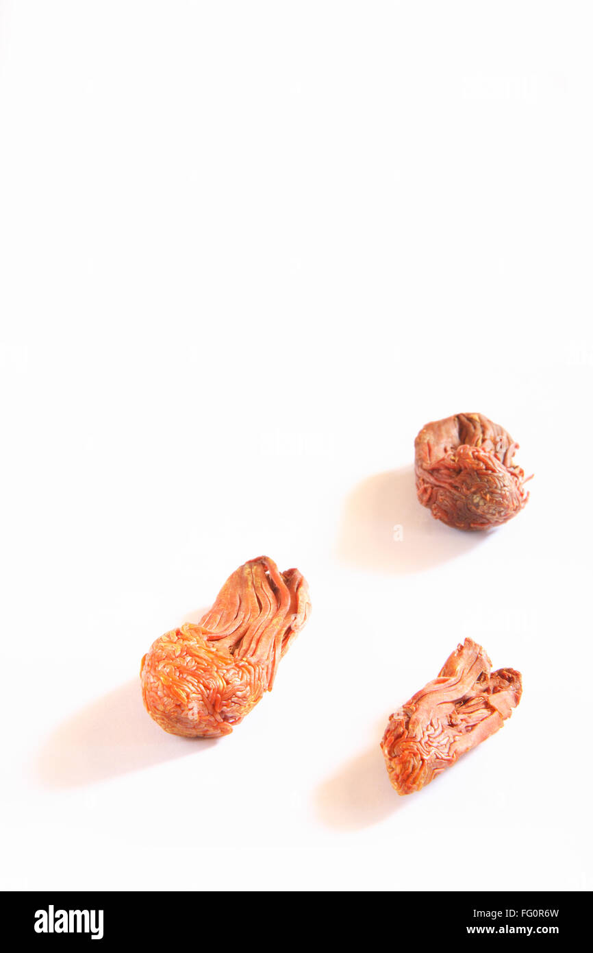 Indian spice , Mace Javitri Myristica fragrance on white background ...