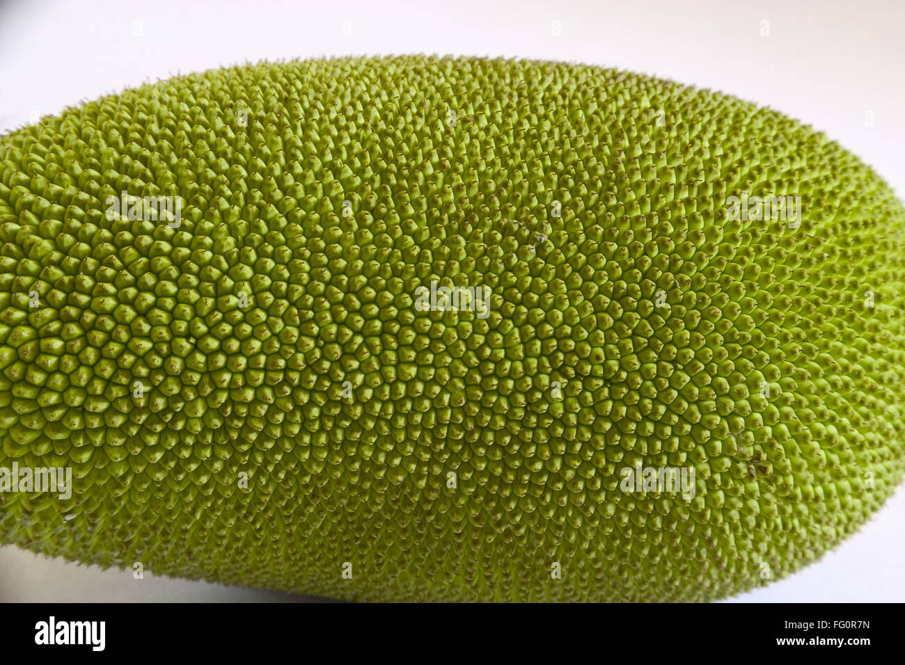 Kathal hi-res stock photography and images - Alamy