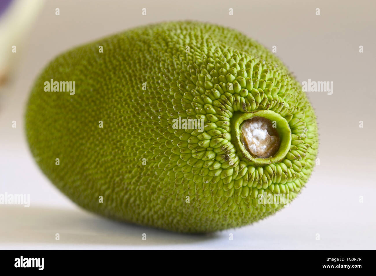 Fruit , Jackfruit Kathal phanus , India Stock Photo - Alamy