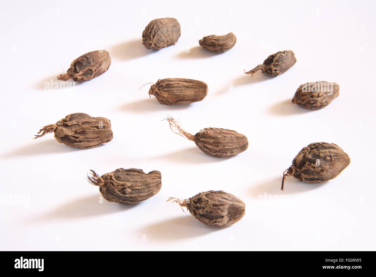 Elaichi Stock Photos & Elaichi Stock Images - Alamy