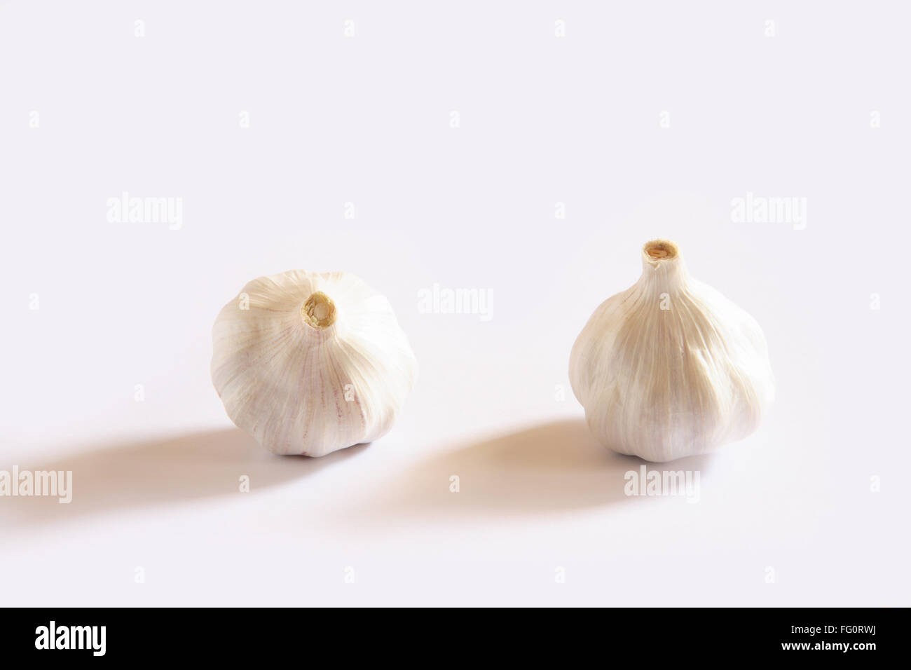 Indian spice , Garlic bulbs Lahsun Allium sativum on white background ...