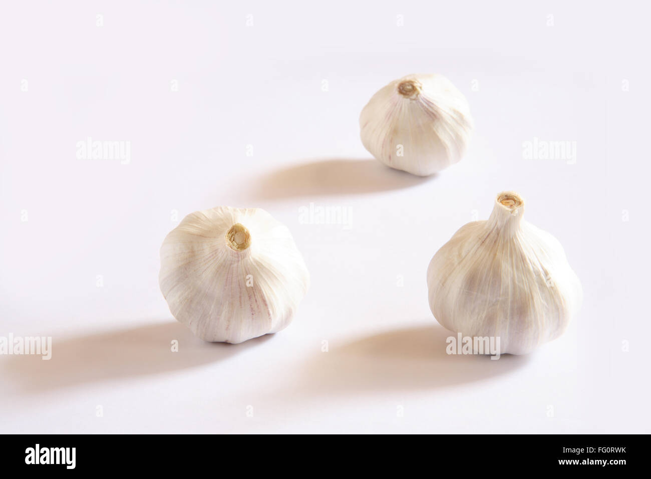 Indian spice , Garlic bulbs Lahsun Allium sativum on white background ...