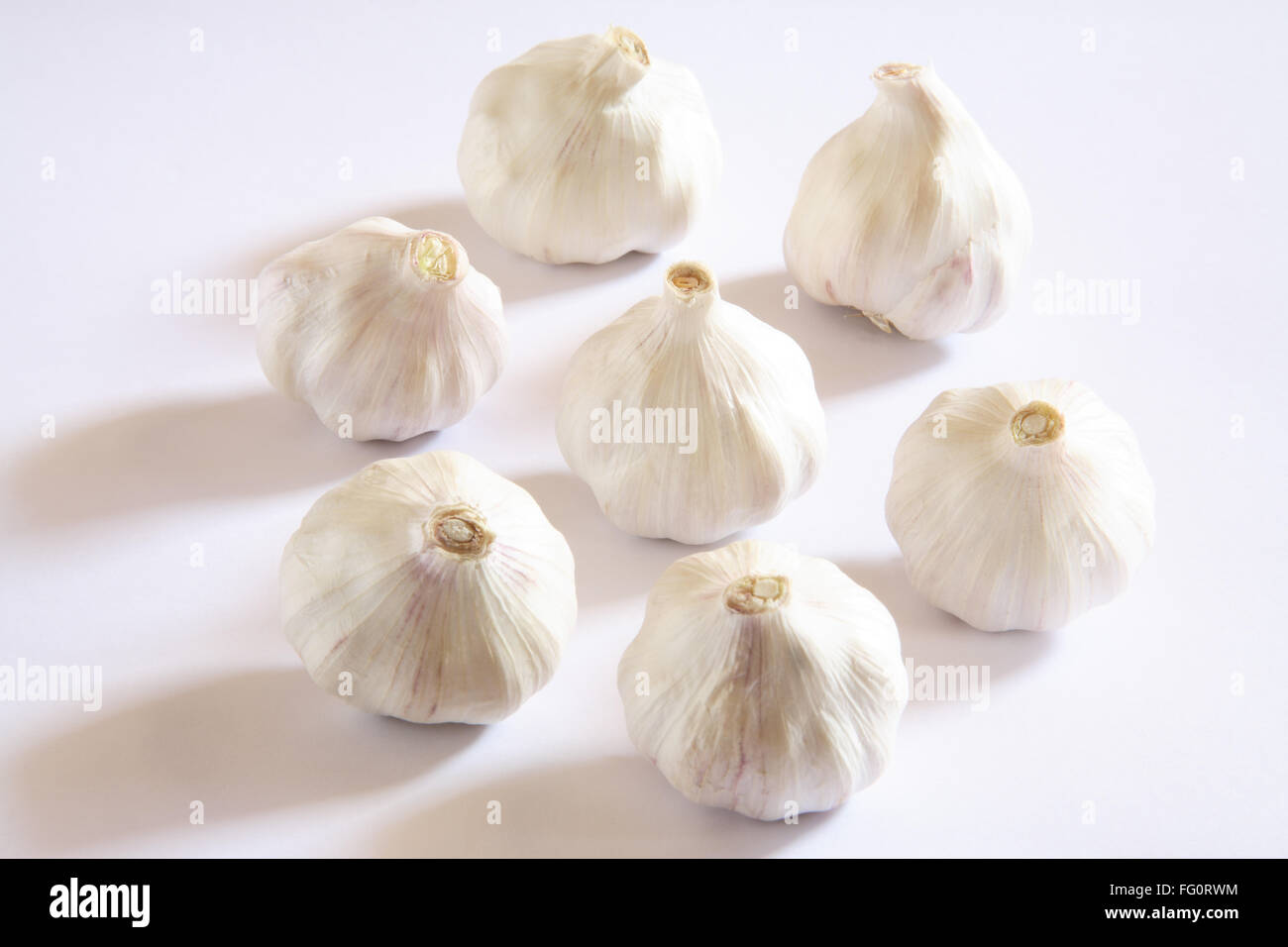 Indian spice , Garlic bulbs Lahsun Allium sativum on white background ...