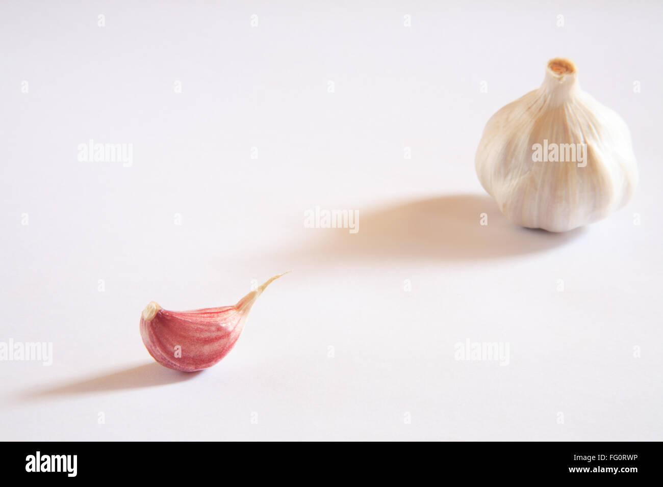 Indian spice , Garlic bulbs & cloves Lahsun Allium sativum on white ...