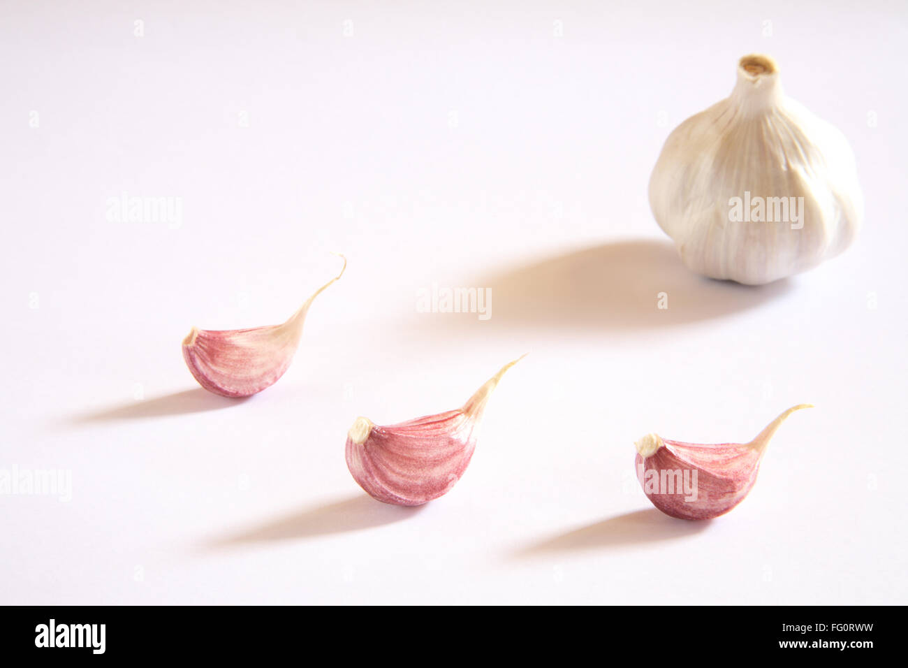 Indian spice , Garlic bulbs and cloves Lahsun Allium sativum on white ...