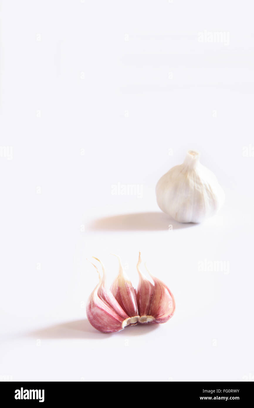 Indian spice , Garlic bulbs and cloves Lahsun Allium sativum on white ...