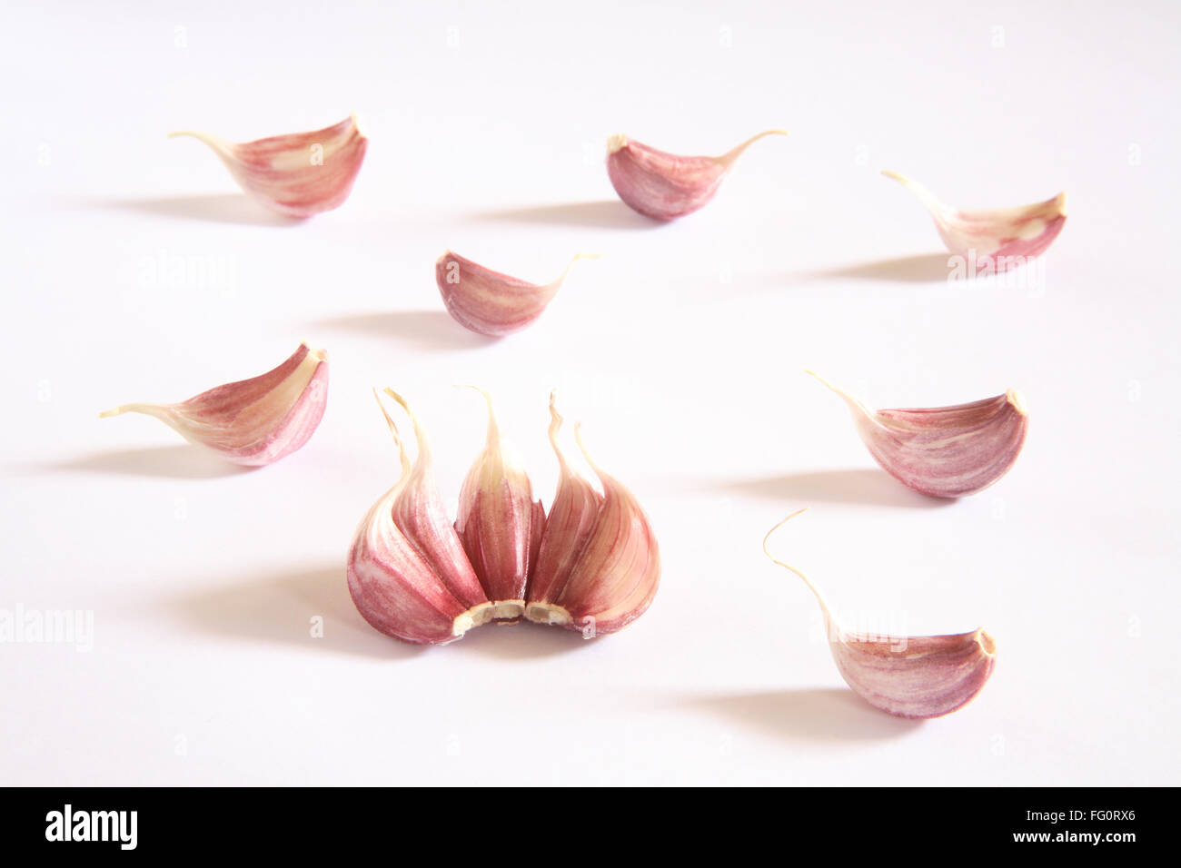 Indian spice , Garlic cloves Lahsun Allium sativum on white background ...