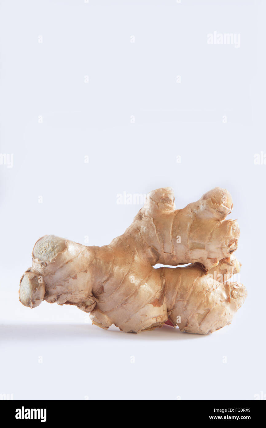 Indian spice , Ginger Adrak Zingiber officinale on white background ...
