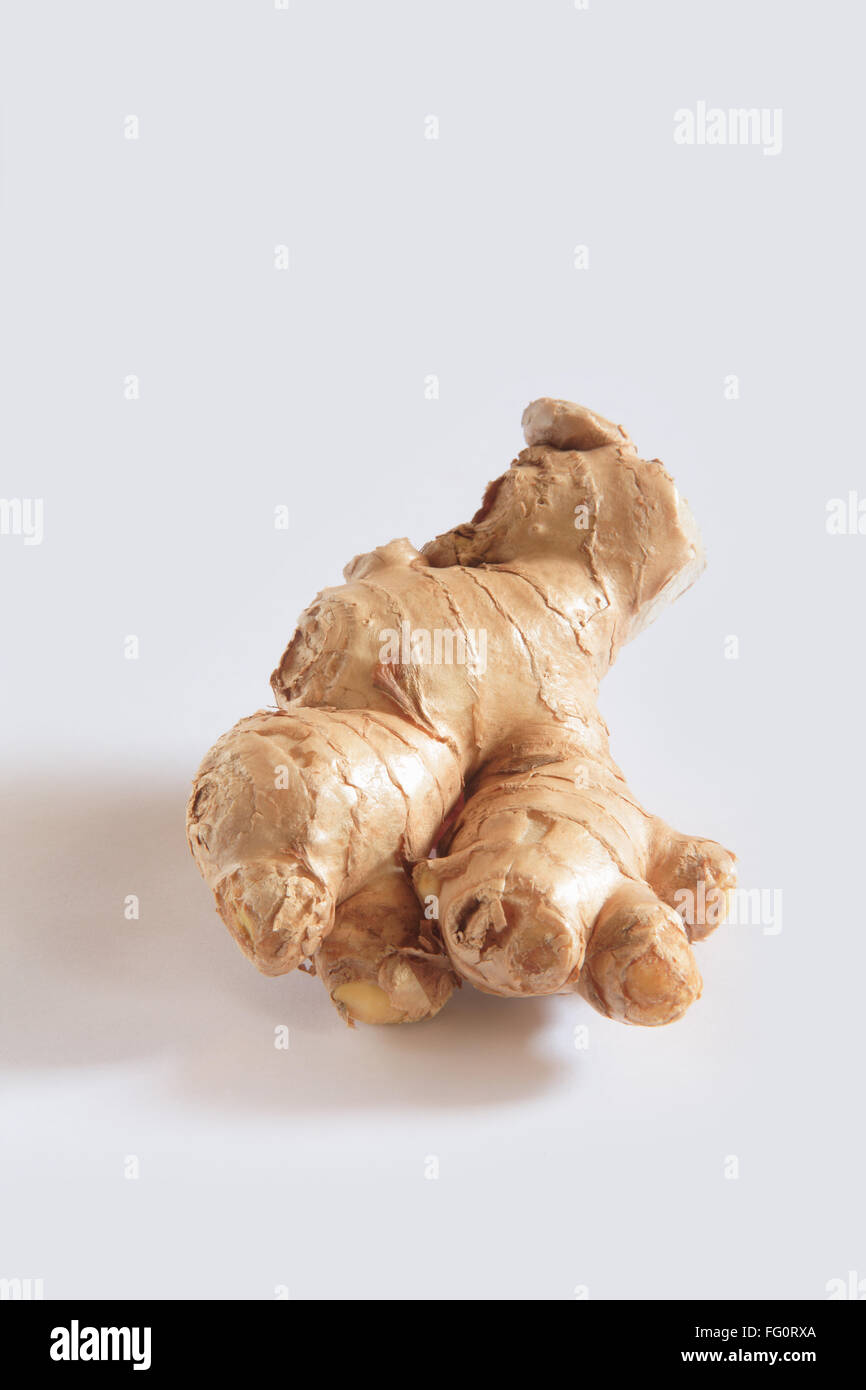 Indian spice , Ginger Adrak Zingiber officinale on white background ...