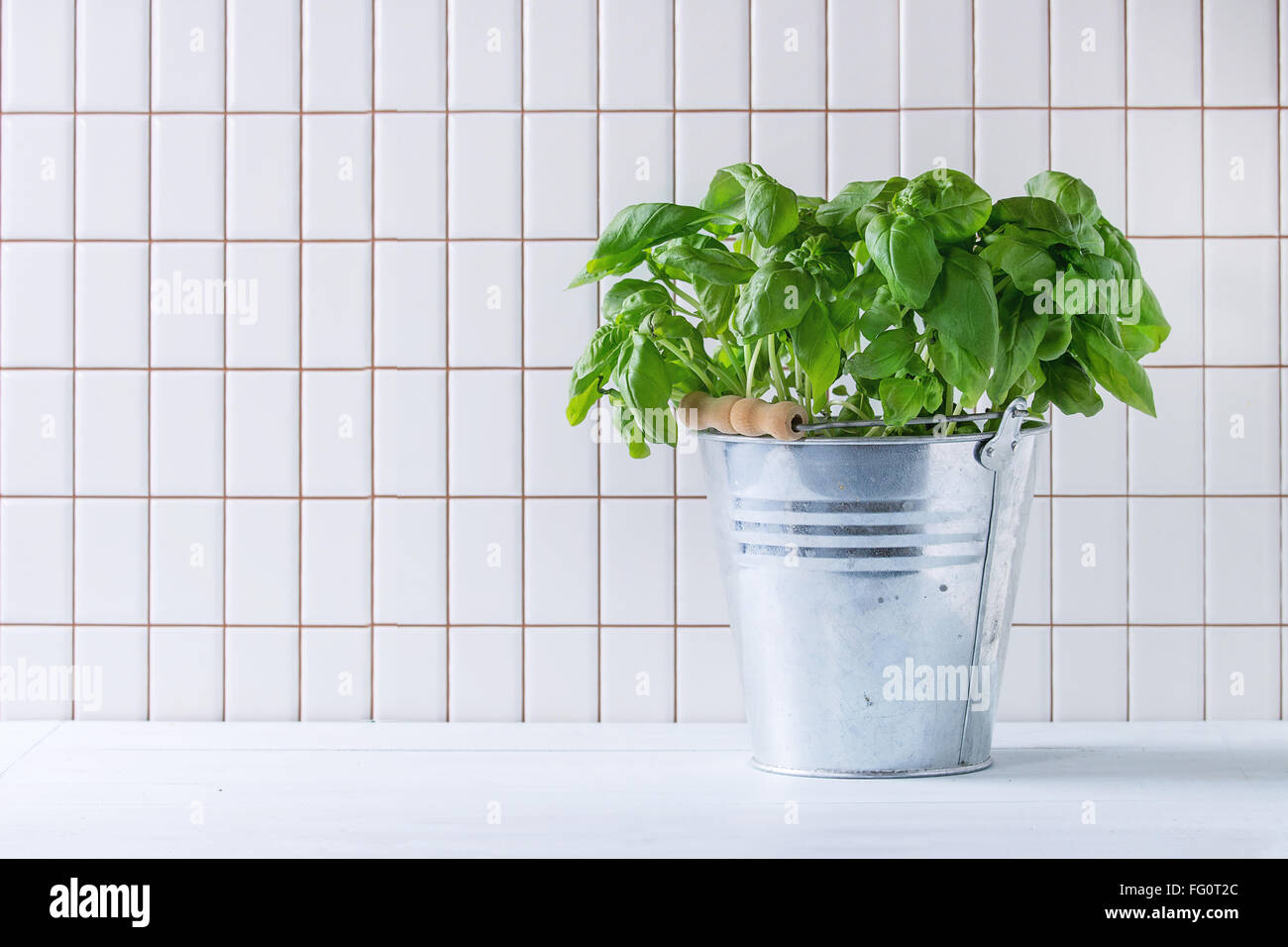 Basil in pot Stock Photo - Alamy