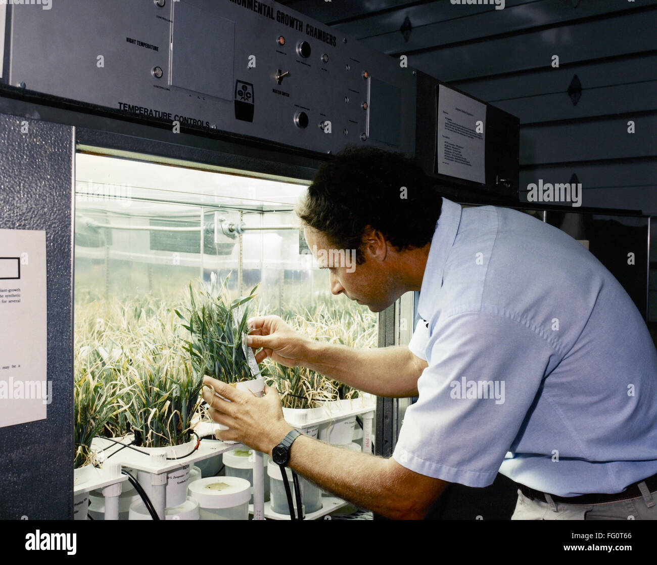SPACE: RESEARCH, 1995. /nSoil mineralogist chemist Dr. Douglas Ming ...
