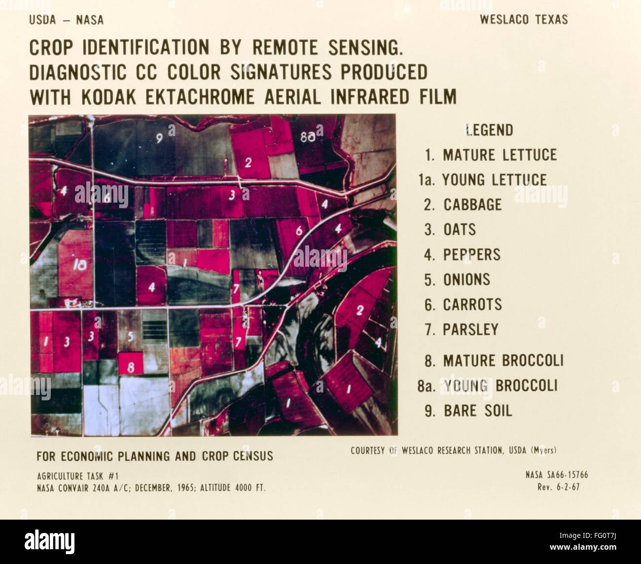 CROP IDENTIFICATION, c1965. /nVarious crops identified by infrared ...