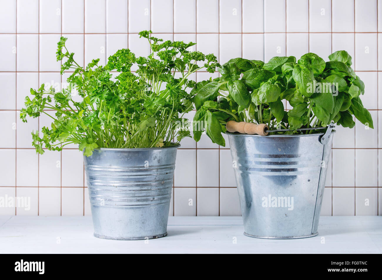Herbs in pot Stock Photo - Alamy