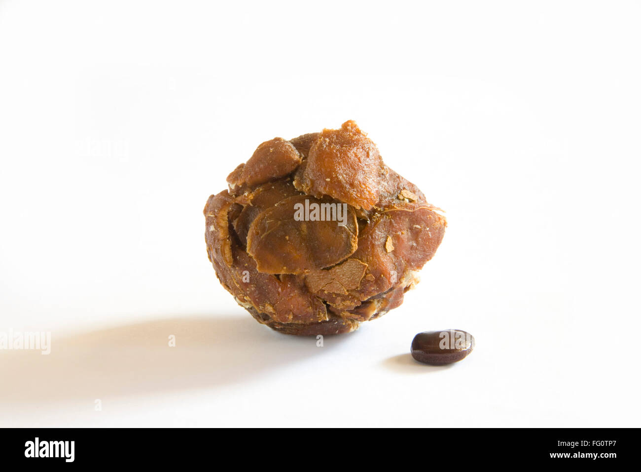 Indian spice , Tamarind imli Tamarindus indica on white background ...