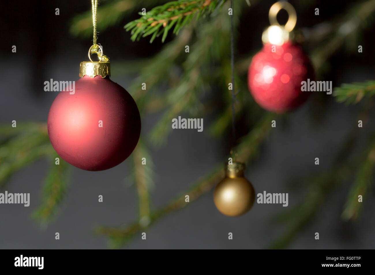 Christmas Tree Balls in Spruce Tree Stock Photo - Alamy