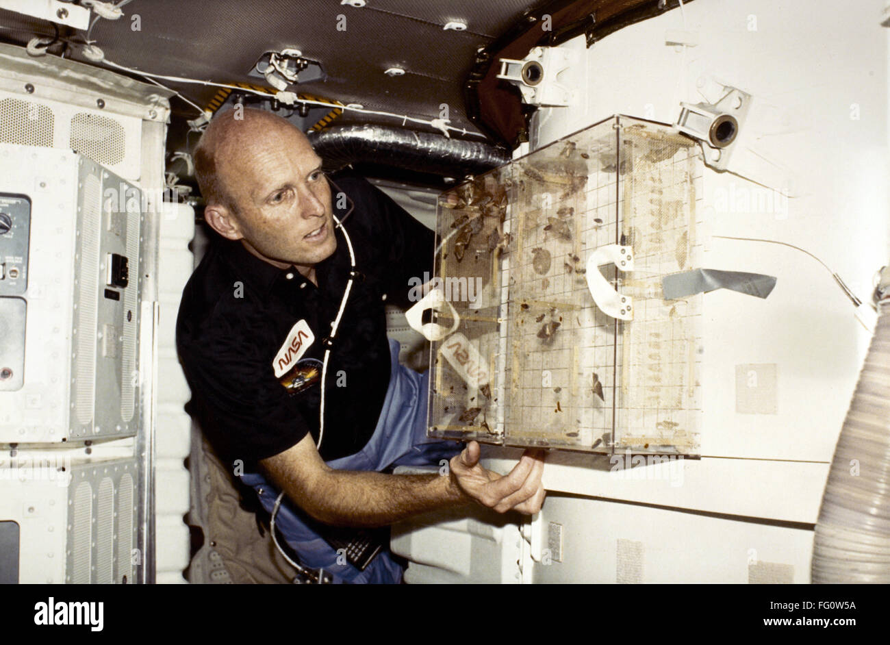 SPACE SHUTTLE: INSECTS, 1982. /nAstronaut C. Gordon Fullerton checks on ...