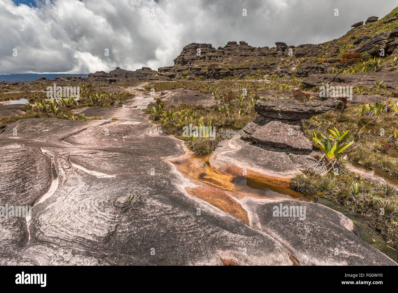 Bizarre ancient rocks of the plateau Roraima tepui - Venezuela, Latin ...