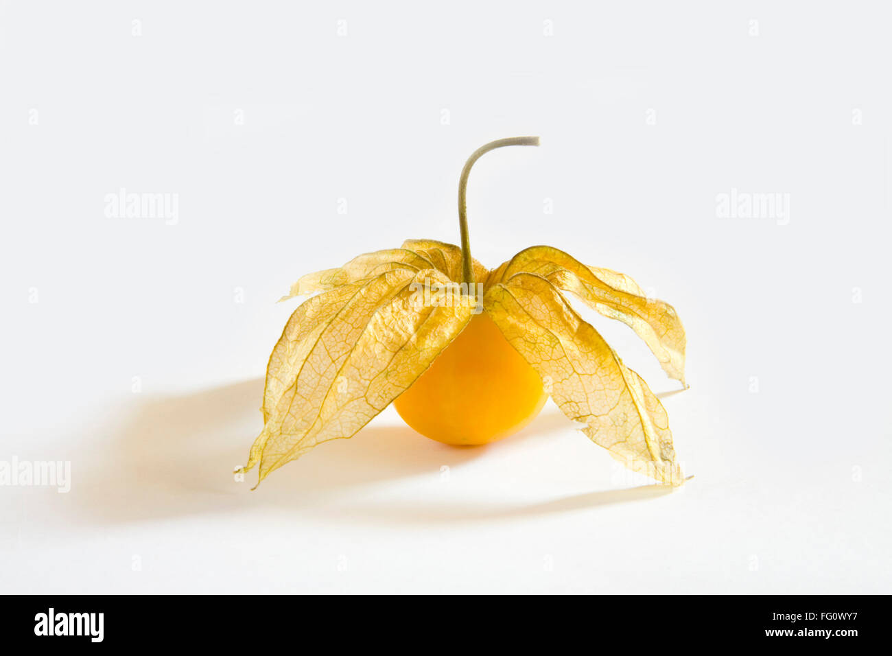 Fruits , Rasbhari Raspberry with leaves on white background Stock Photo ...