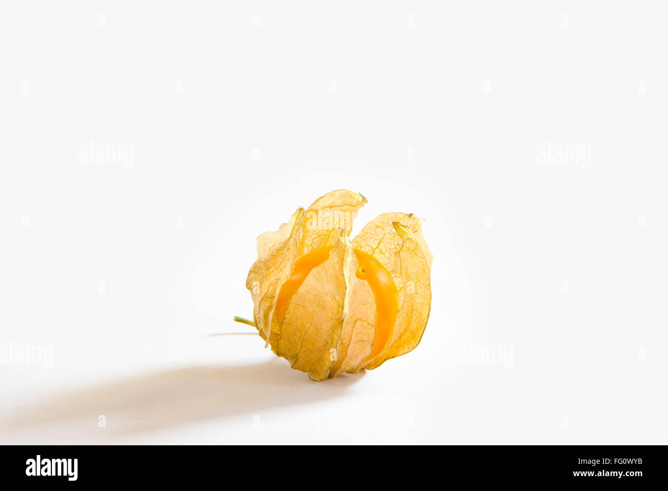 Fruits , Rasbhari Raspberry with leaves on white background Stock Photo ...