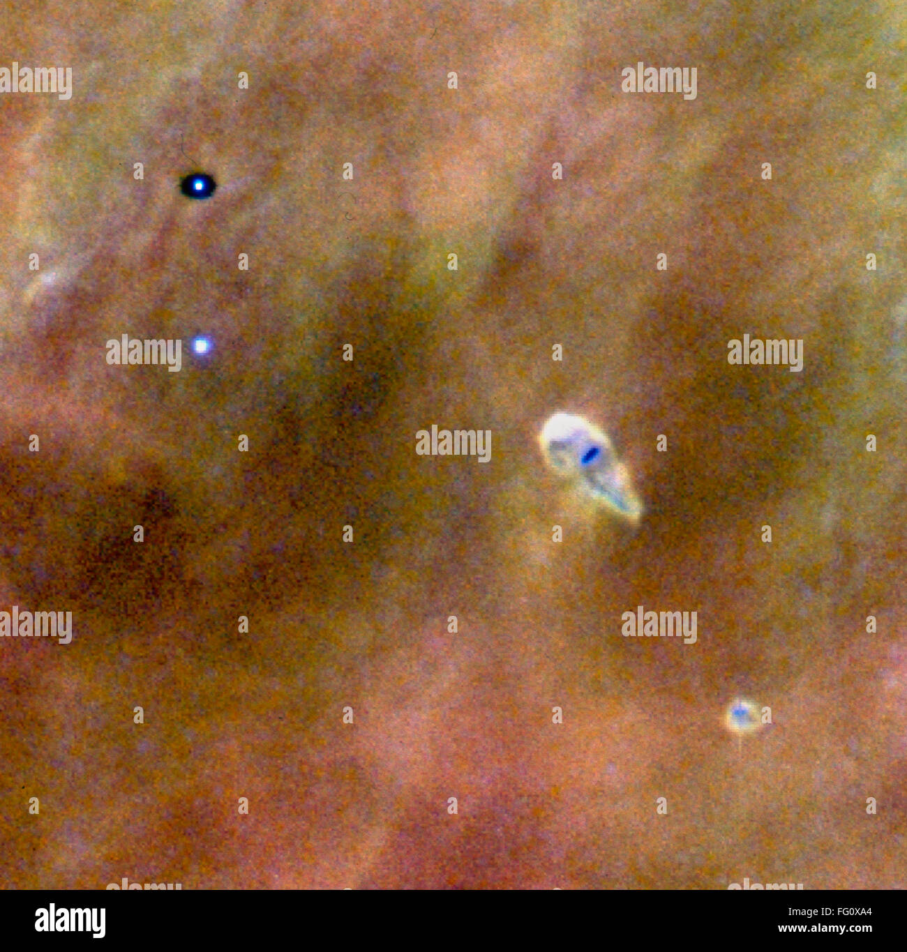 SPACE: PROPLYDS. /nFalse-color image of proplyds--protoplanetary disks ...