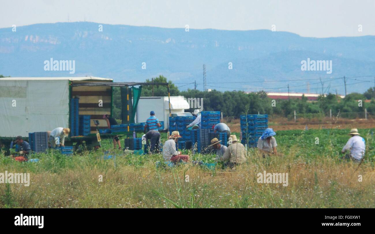 Men working on the land hi-res stock photography and images - Alamy
